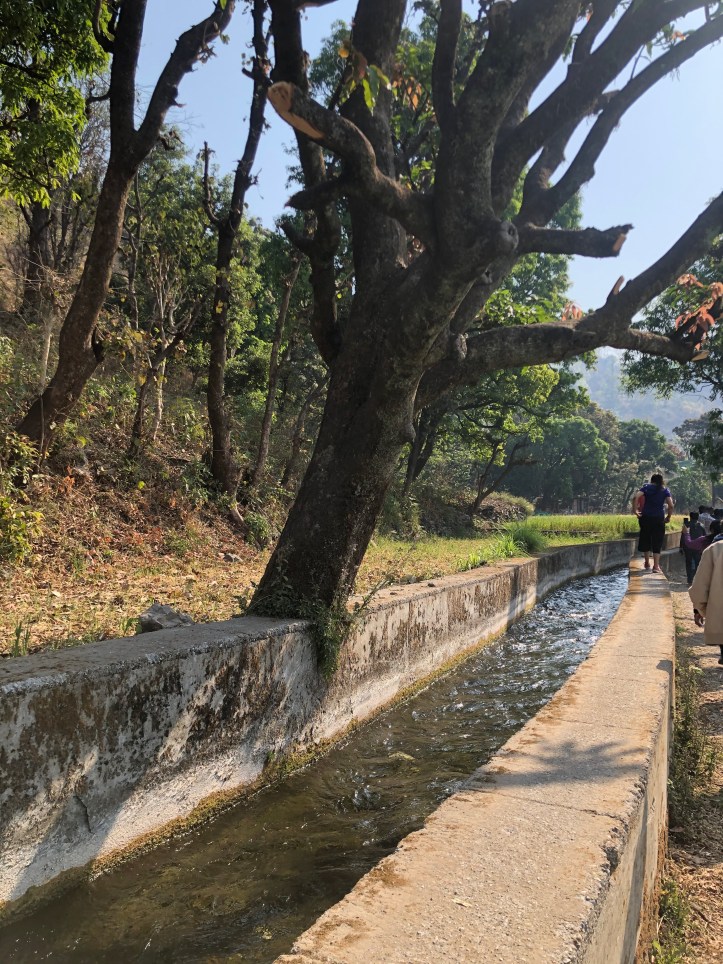 Maldevta walk – One of the few remaining places to see the age-old ...