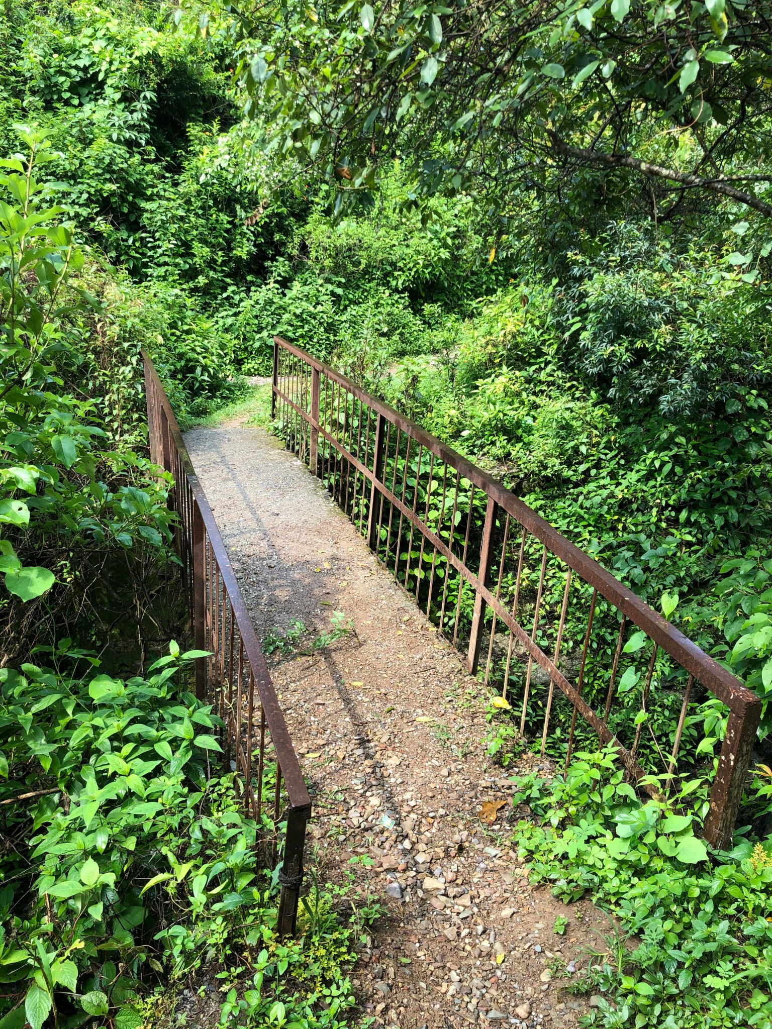 Tons River (Dehradun) trail – A hidden gem in the neighbourhood (Part1 ...