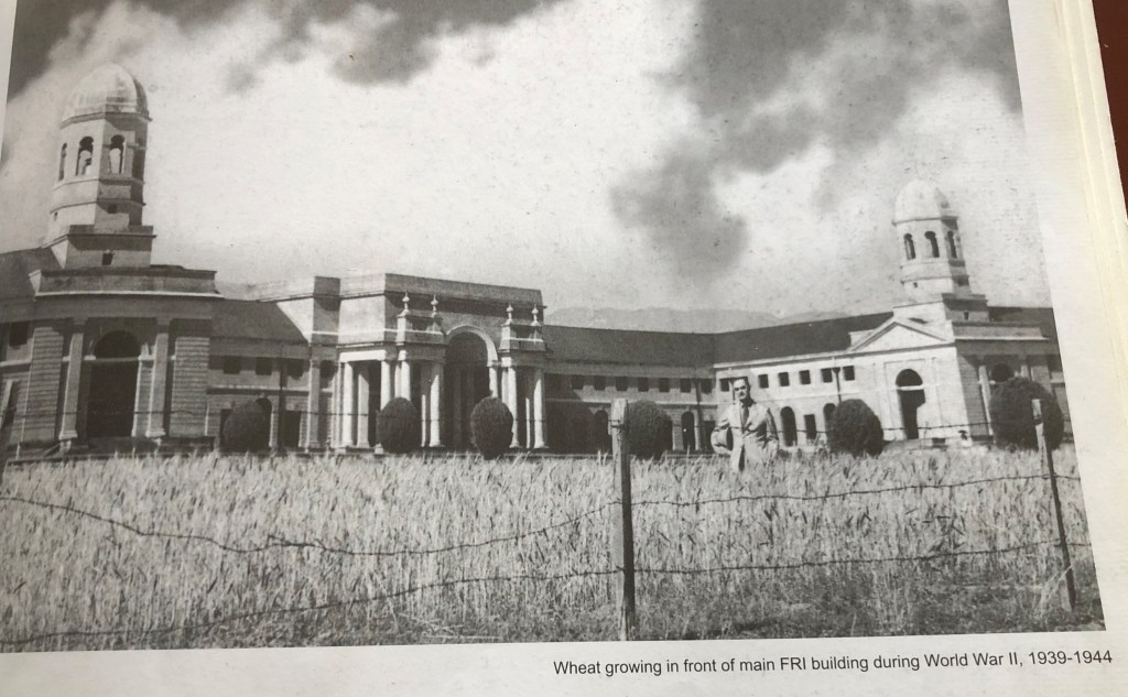 The fascinating Forest Research Institute (FRI) |Dehradun – Travel ...