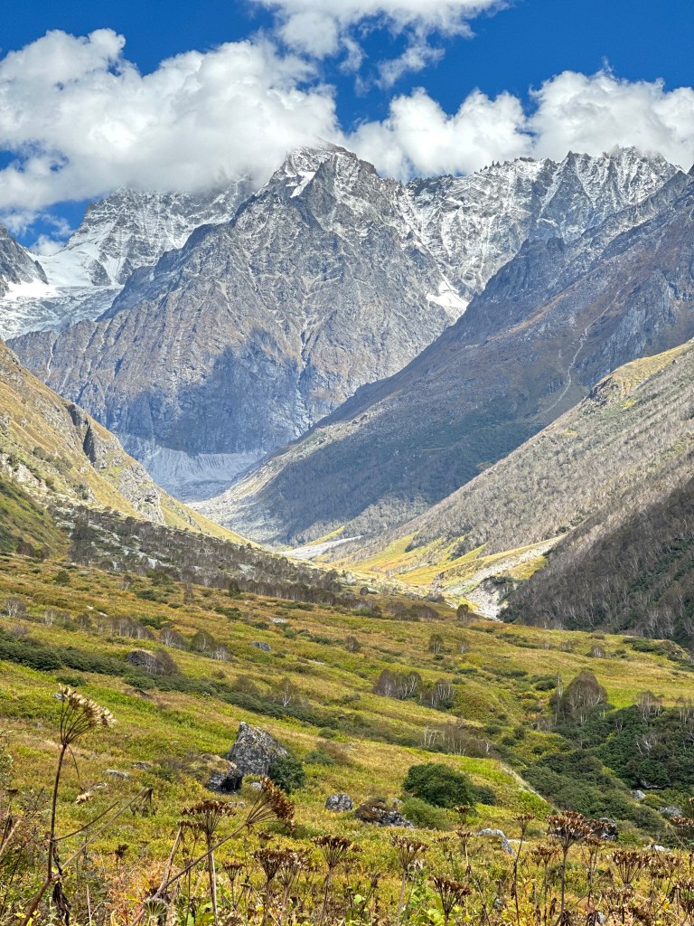 A trip to Hemkund Sahib and Valley of Flowers | Chamoli – Travel ...